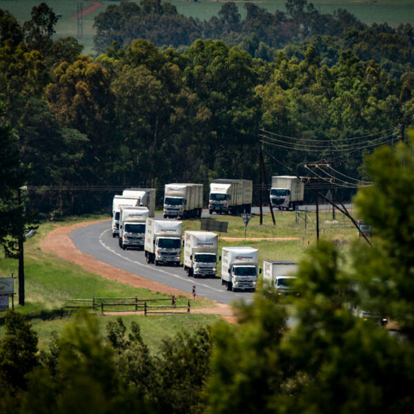 Eezi Move » National and International Furniture Removals