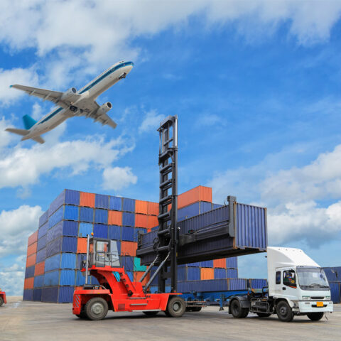 International Moving Services » Eezi Move Furniture Removals